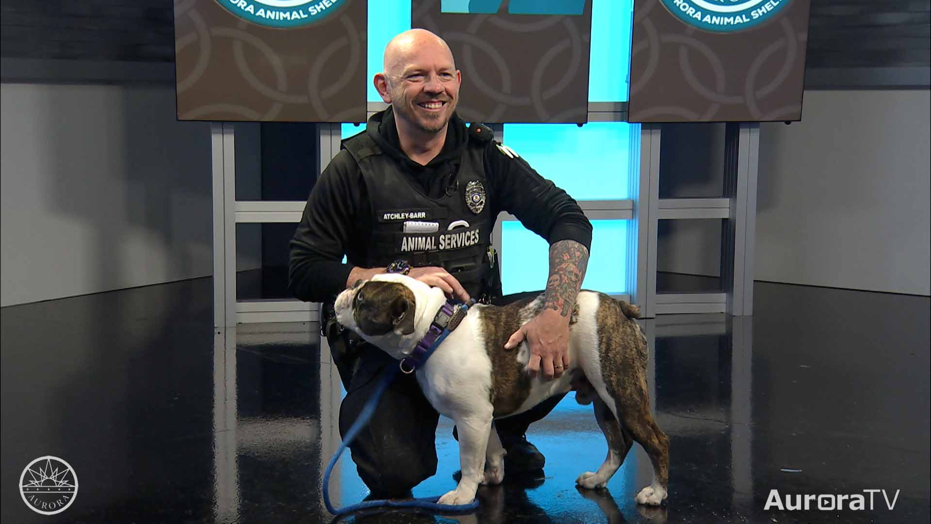 Aurora Animal Shelter Shares Wildlife Safety Tips | Auroratv