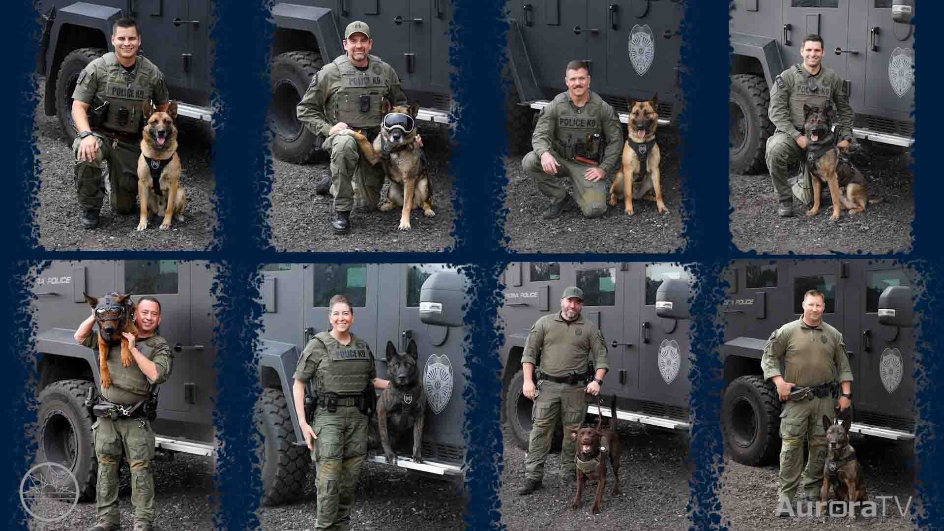 Meet APD's K9 Team | Auroratv